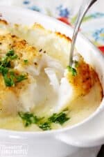 Baked Mahi Mahi Recipe {Parmesan Crusted} | Favorite Family Recipes