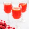 Raspberry Cordial