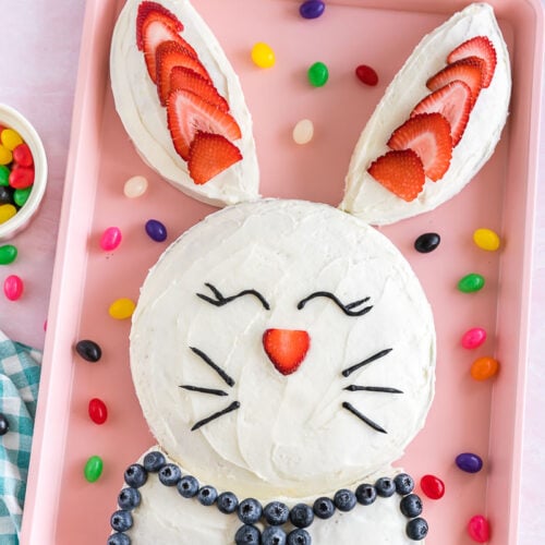 Chocolate Bunny Cake