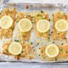 Baked Mahi Mahi with Herb Parmesan Crust