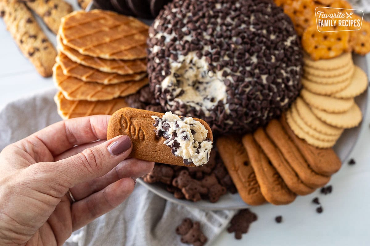 Chocolate Chip Cheese Ball Recipe